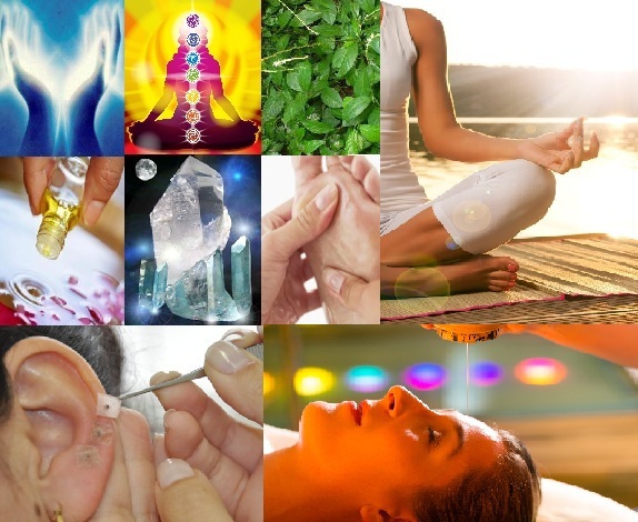 Contato :: Clinica-escola-zen-phoenix8